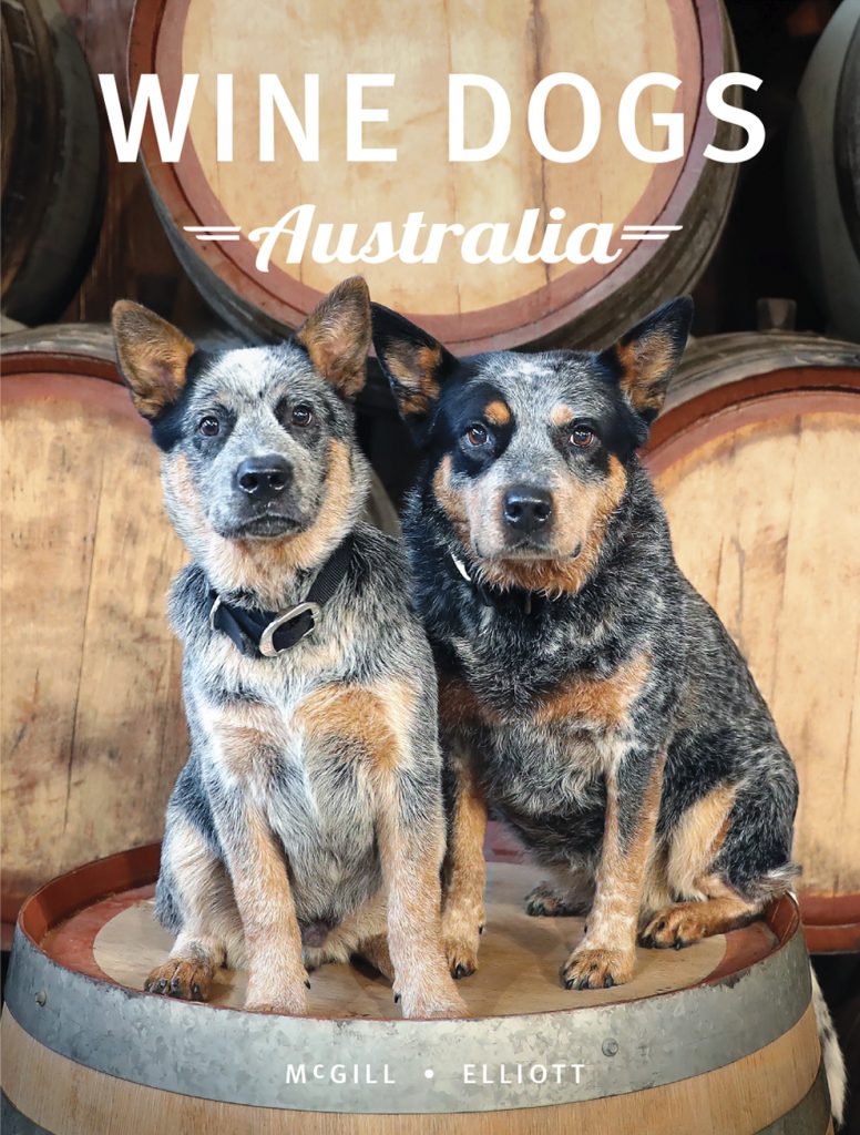 Wine Dogs Australia 6 - Wine Dogs